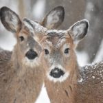 New Eyes Lesson #4. Seven Reasons Why A Smile Makes Eyes Sparkle and ...